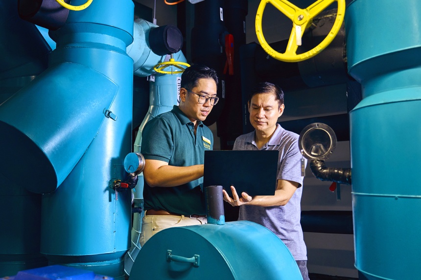 Designing spaces for people and animals: How she partners eco experts and builders to create ...